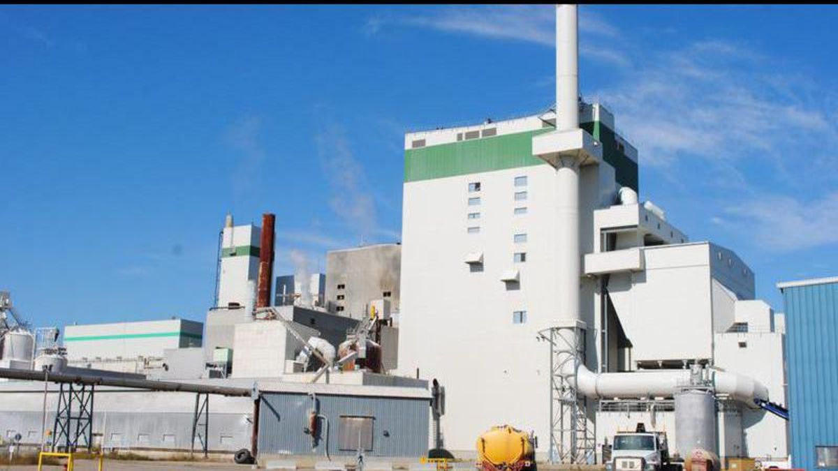 Public can weigh in on pulp mill environmental document online | paNOW