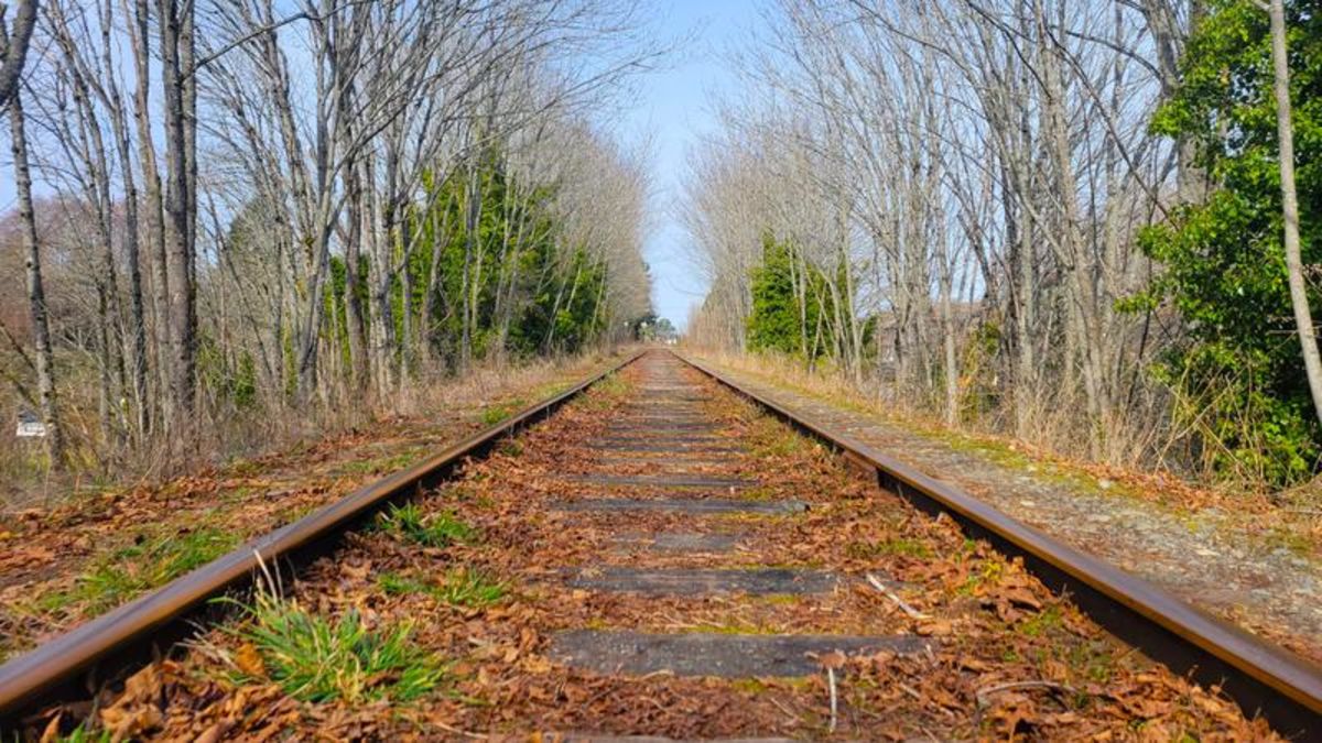 Active transportation back on the table for E&N Rail line | 106.9 The Wolf