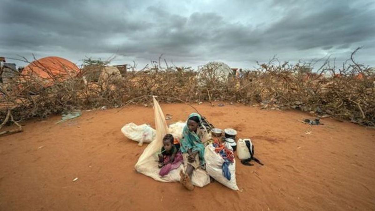 Report: 43,000 estimated dead in Somalia drought last year | Lethbridge ...
