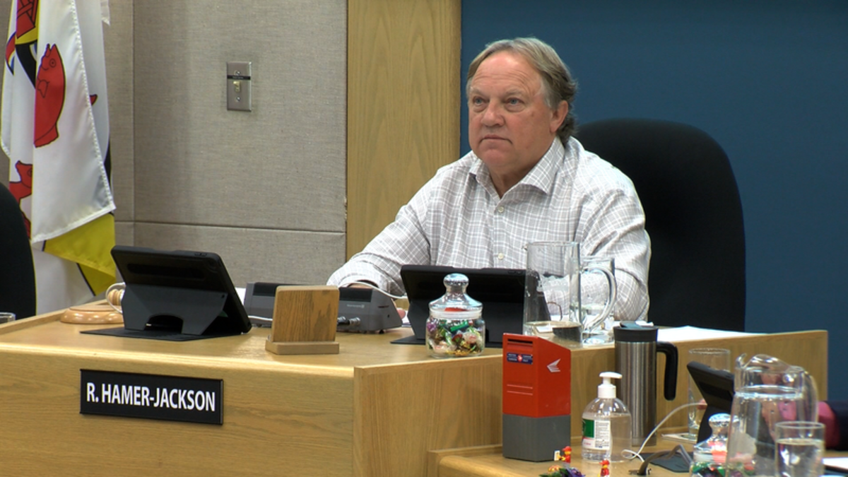 ‘You’re not going to get anything done’: Former councillor feels Hamer ...