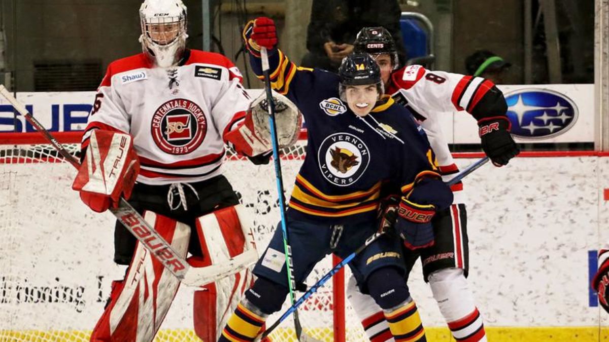 UPDATE: Vipers to battle Warriors in first round | Vernon Matters