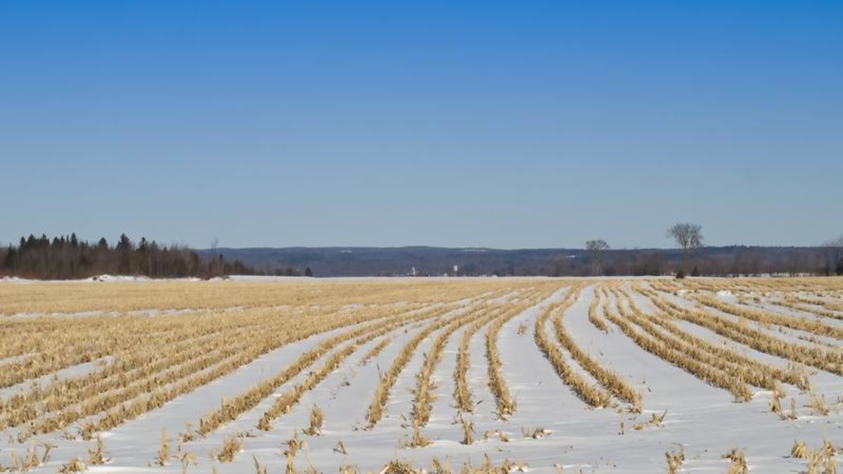 Feds and province launch new Sustainable Canadian Agricultural ...