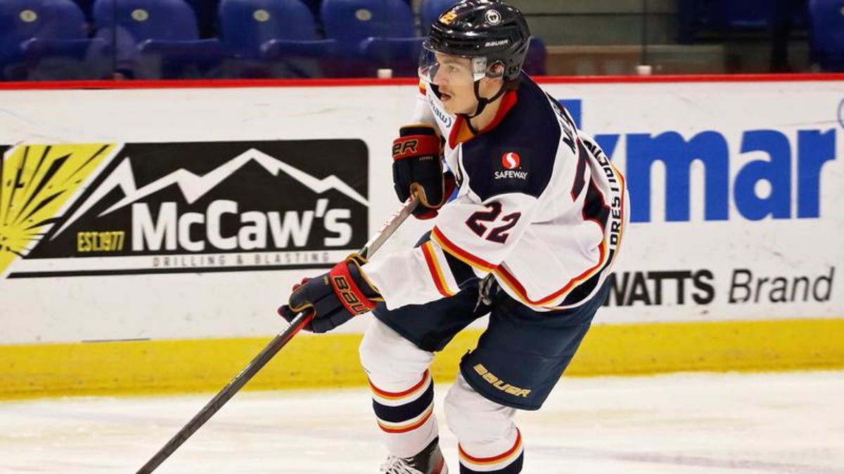 Vipers strike back to even series with Warriors | Vernon Matters