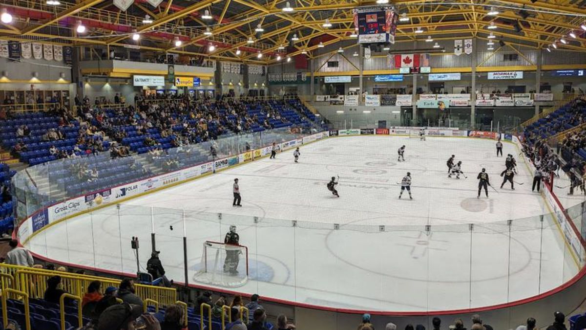 Vipers bounce back to tie series with Warriors | Vernon Matters