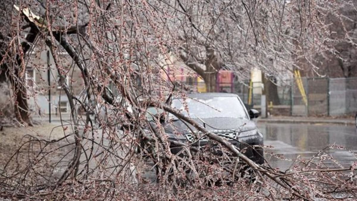Fierce storm system leaves more than a million without power in Quebec ...