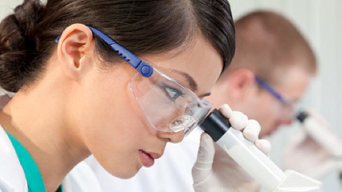 USask begins research on insects in new facility | paNOW