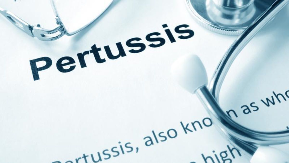 Pertussis outbreak reaches 114 cases across South and Central AHS zones ...
