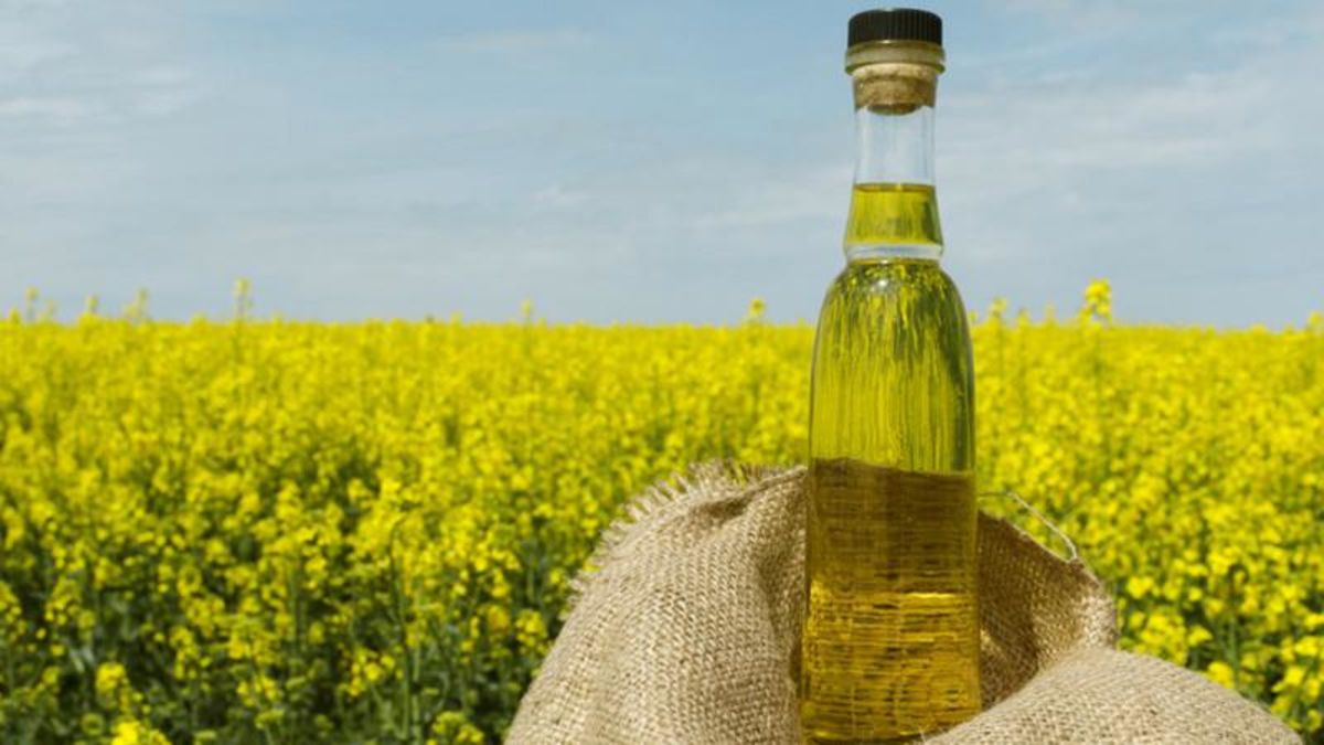 Louis Dreyfus company expands canola crush capacity in Saskatchewan ...