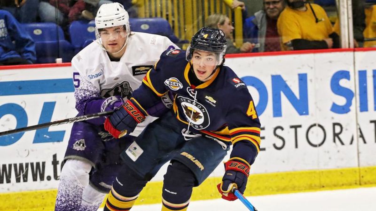 Silverbacks strike back to pull even with Vipers | Vernon Matters