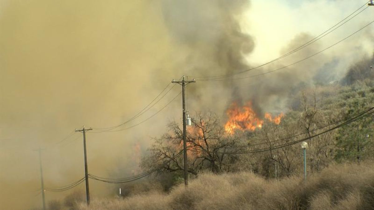 Grass fire caused by campfire; Kamloops RCMP launch criminal probe ...