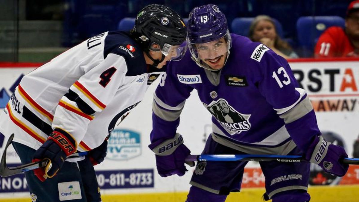OT loss brings season to end for Vipers | Vernon Matters