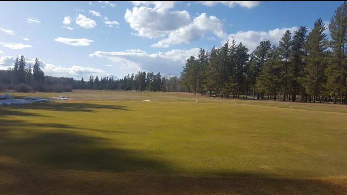 Memberships up as local golf courses approach opening day | paNOW