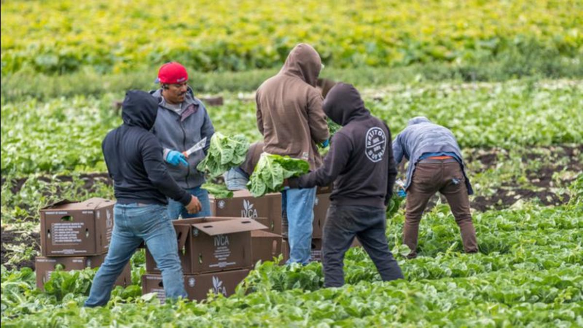 Agriculture Roundup for Monday, May 1, 2023 | CJVR Today's Best Country