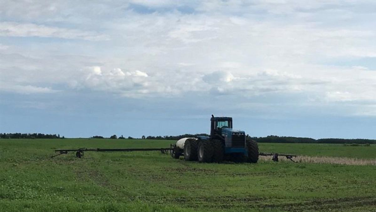 Keep it Clean ensures farmers are growing market-ready crops | northeastNOW