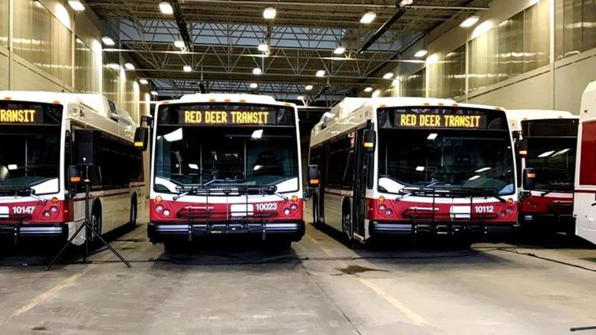 City says Red Deer Transit ridership on the rise | rdnewsnow.com