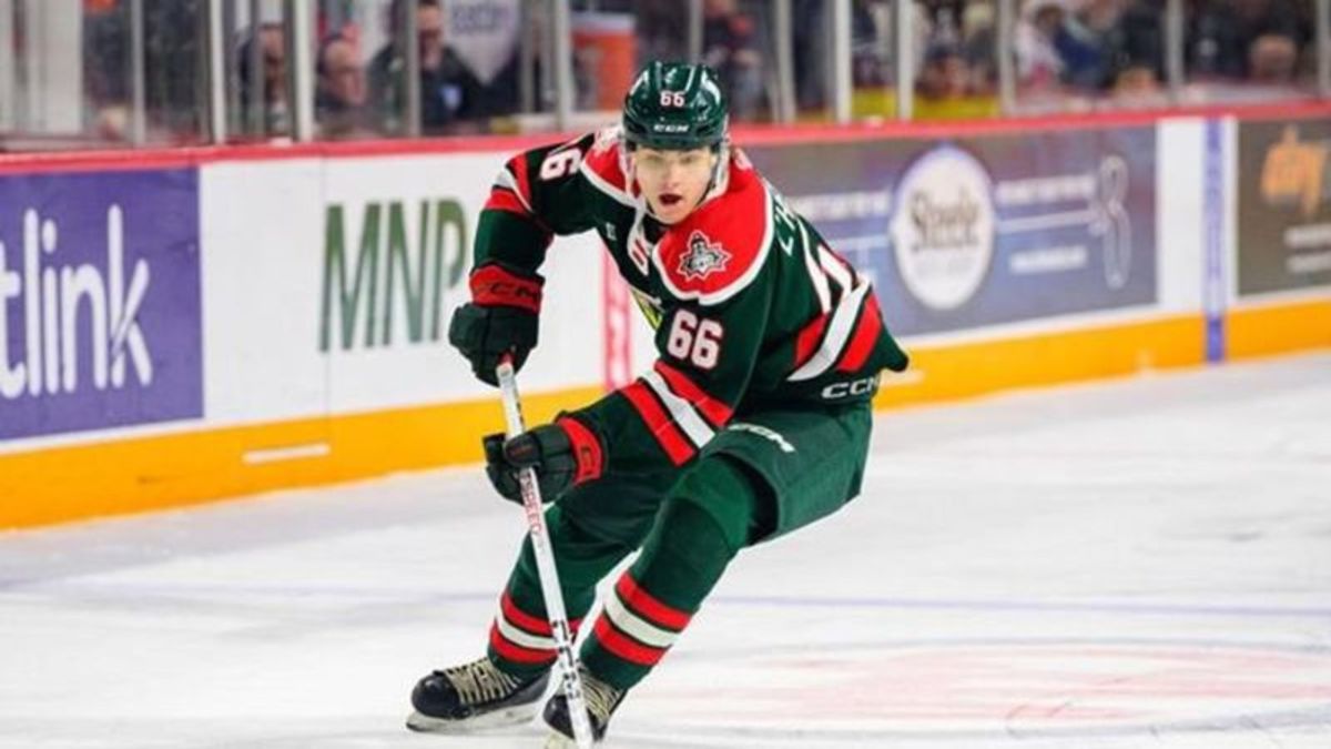 Mooseheads player favours a swig of mustard on the bench to ward off ...