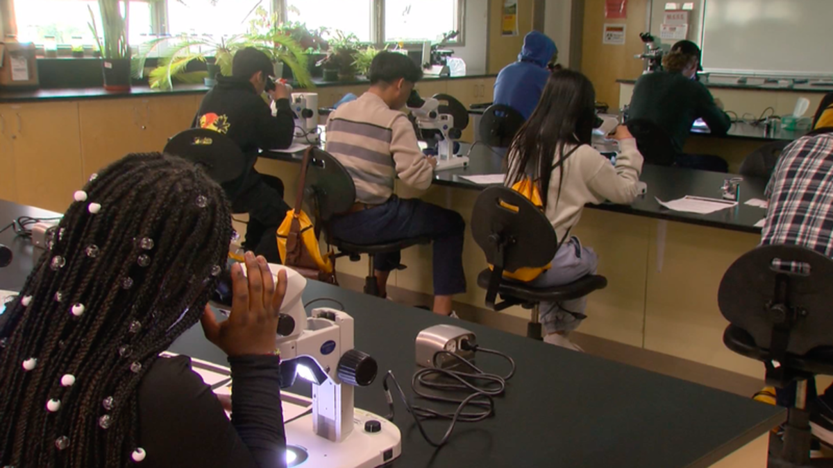 Local high school students explore STEM career paths | CHAT News Today