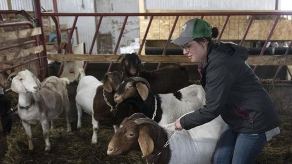 High costs putting farming out of reach for young people, affecting all ...