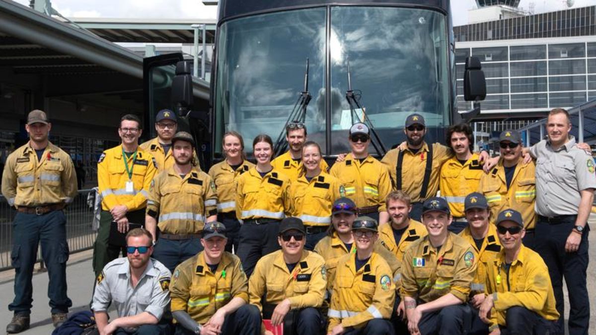 Wildfire numbers in Alberta continue to come down, but officials warn ...