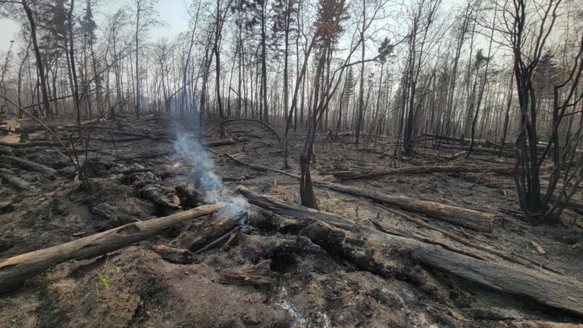 Wildfires in Grande Prairie growing due to winds and high temperatures ...
