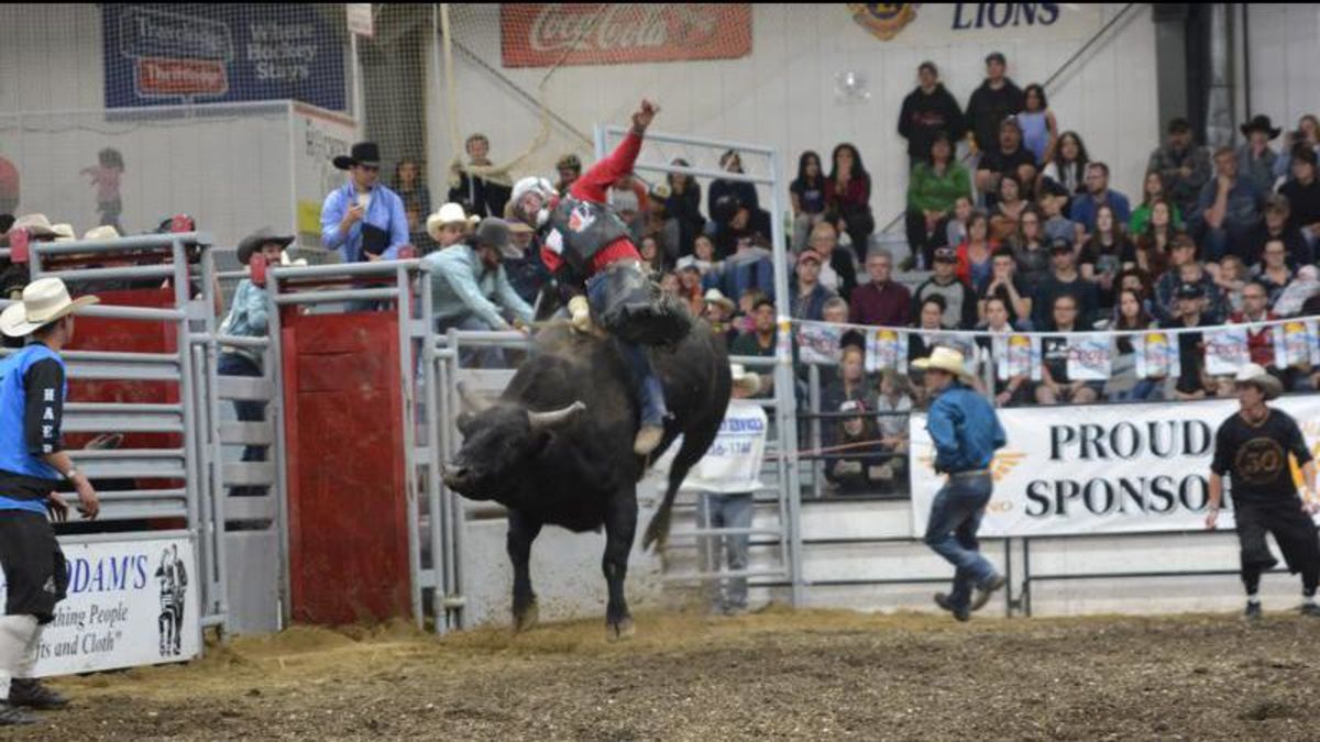Meadow Lake gearing up for annual rodeo | meadowlakeNOW