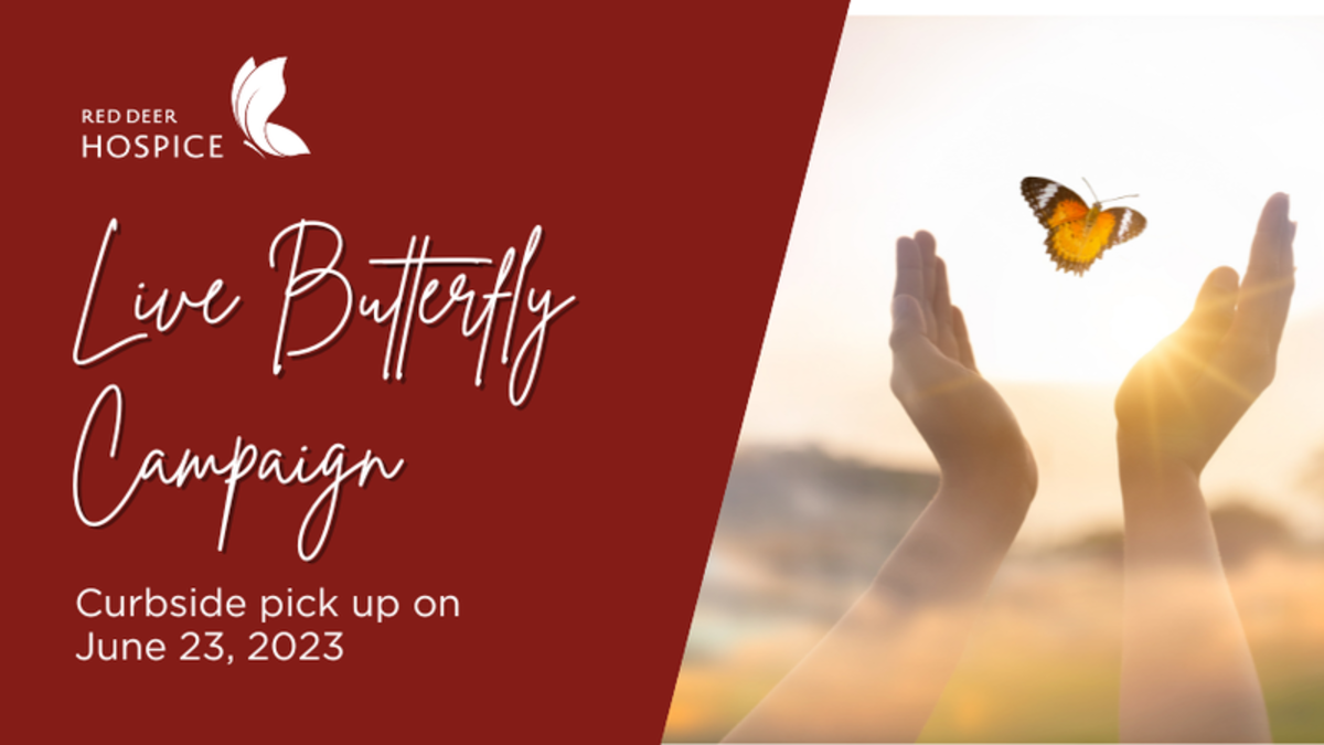 Red Deer Hospice’s annual live Butterfly Campaign fundraiser returns ...