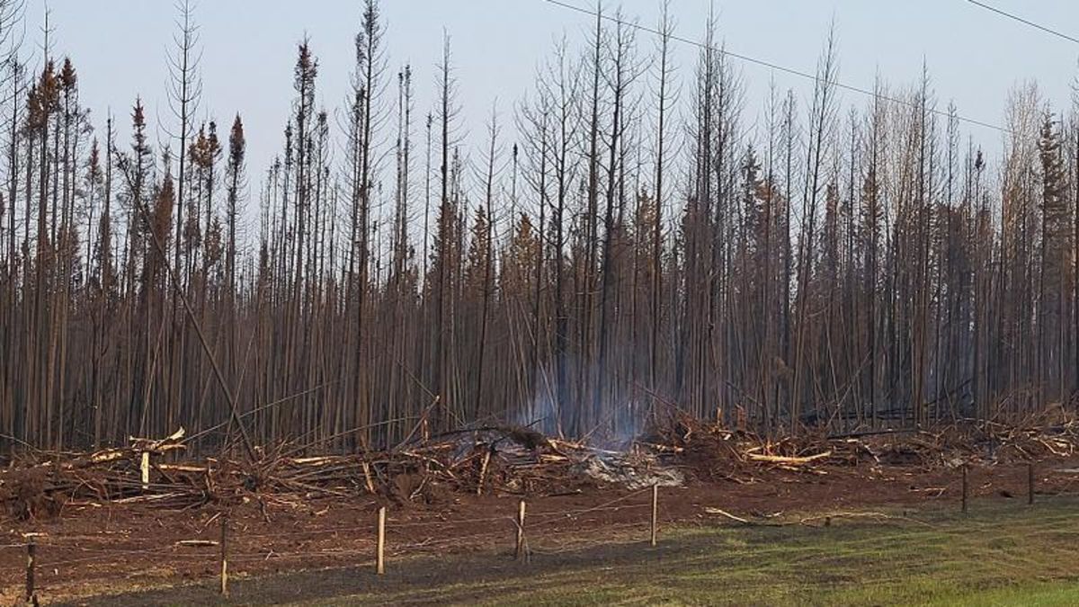 Provincial officials provide update on Alberta’s wildfire situation ...