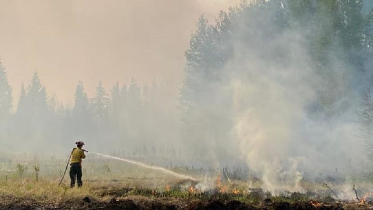 Provincial officials provide update on Alberta’s wildfire situation, as ...