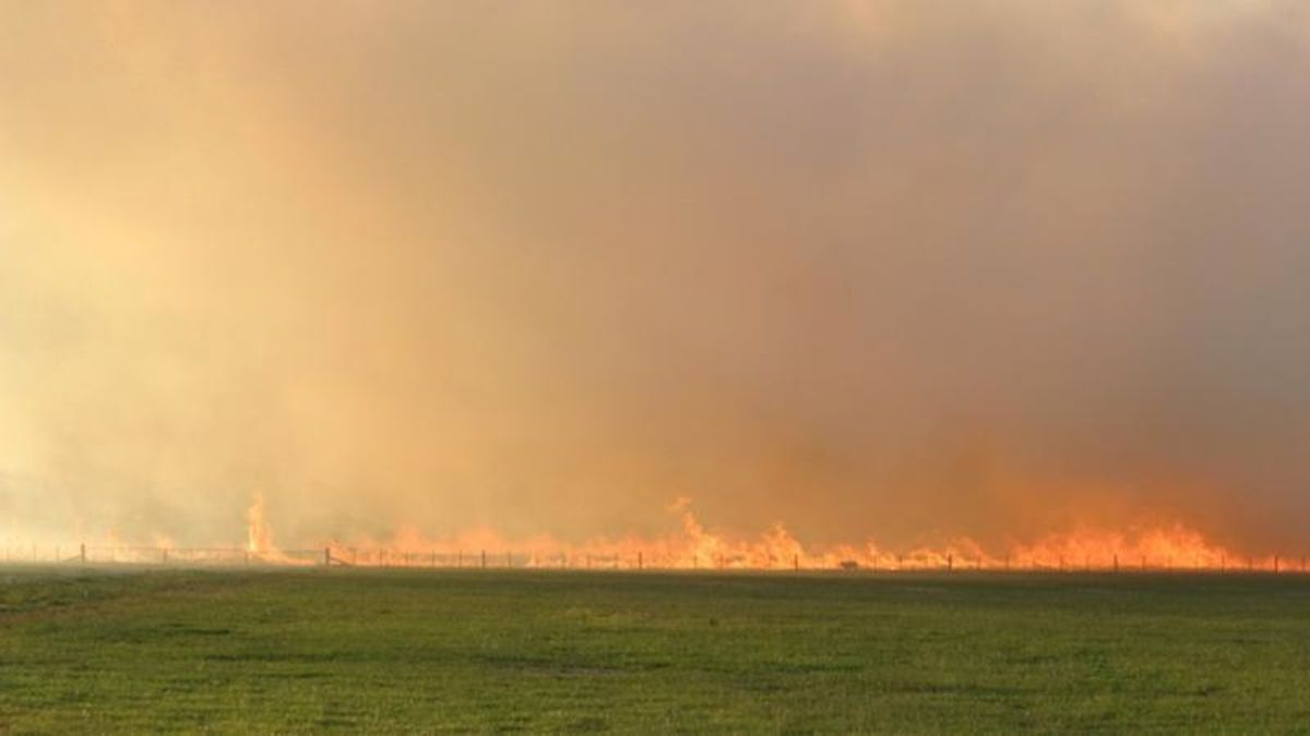 Preparing for the possibility of evacuation of livestock | farmnewsNOW