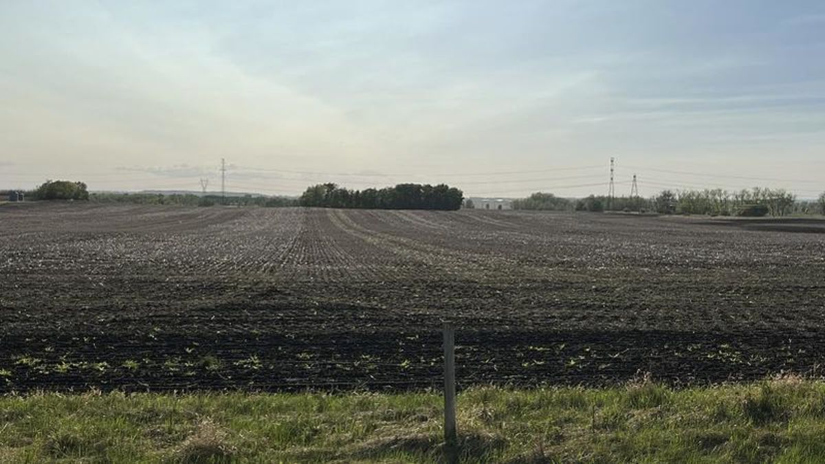 Seeding in central Alberta slightly behind 5-year average | rdnewsnow.com