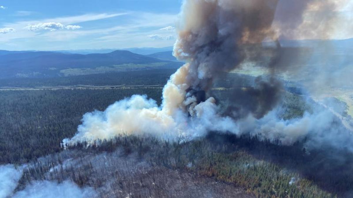 Emerald Lake wildfire near 100 Mile grows but not causing imminent ...