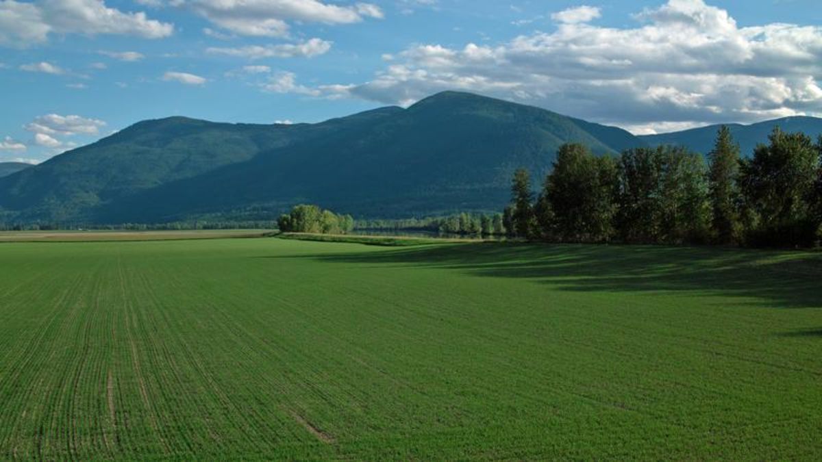 B.C. offering more grants to help protect farms from extreme weather ...