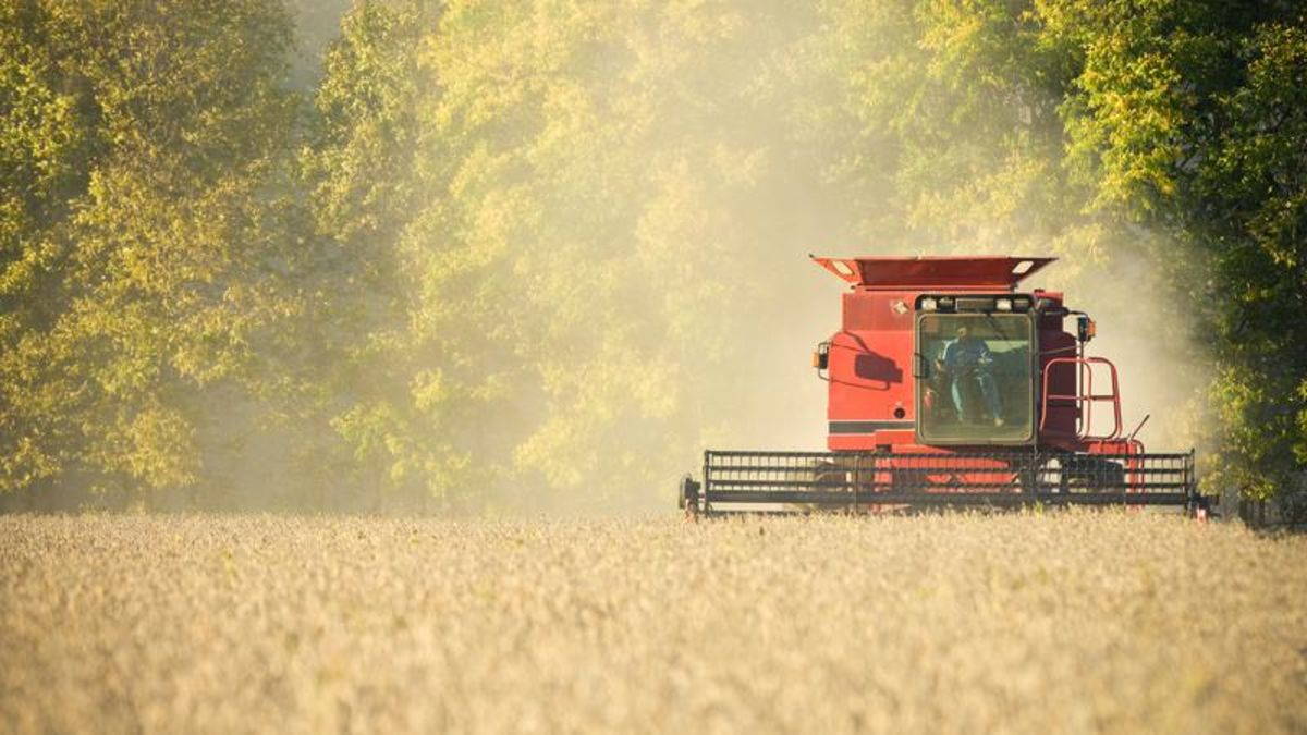 Canada’s first high-oleic soybean variety produced in Ontario | farmnewsNOW