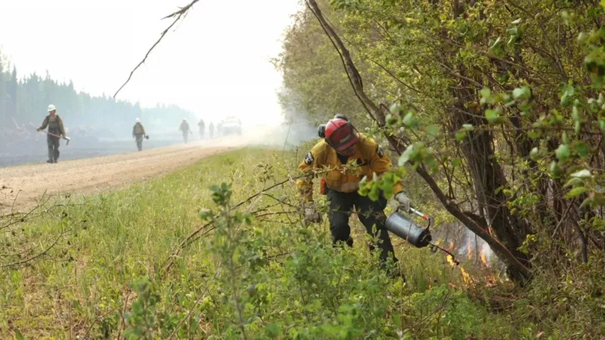 Fire hazards rated moderate | EverythingGP