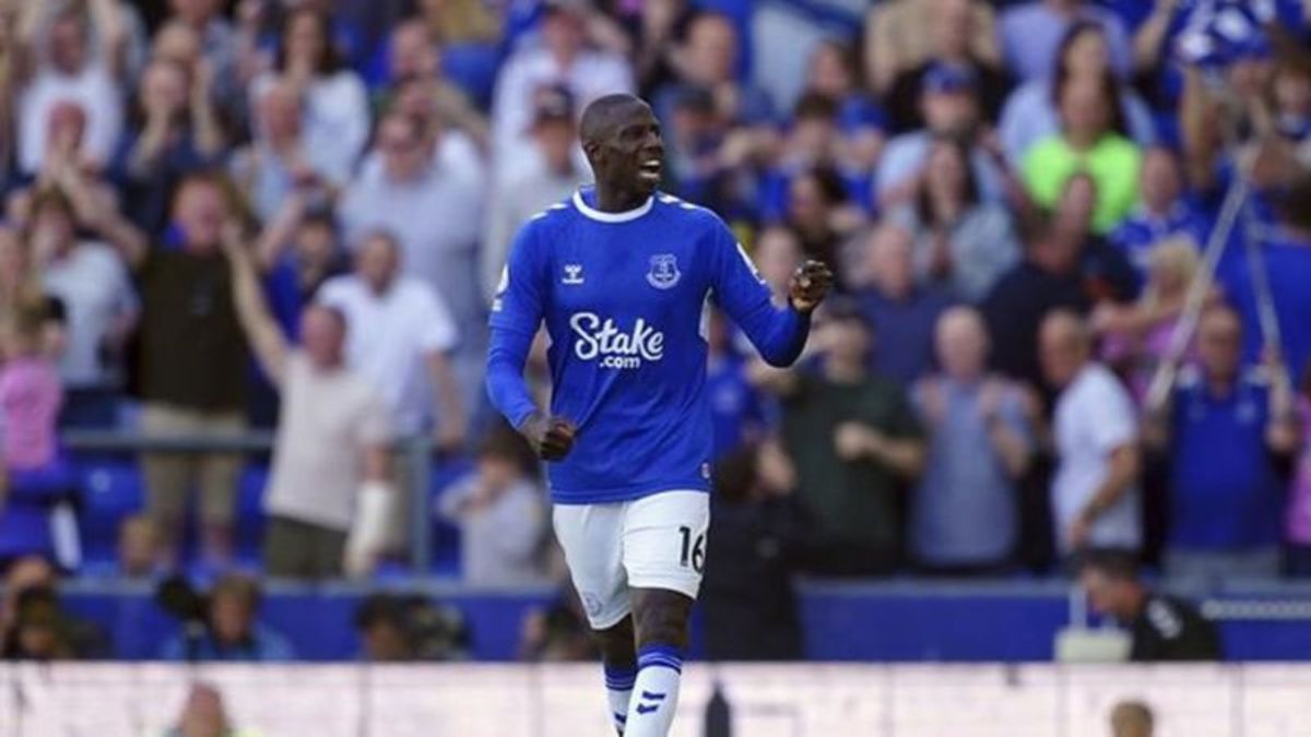 Everton stays in Premier League after final-day escape, Leicester and ...