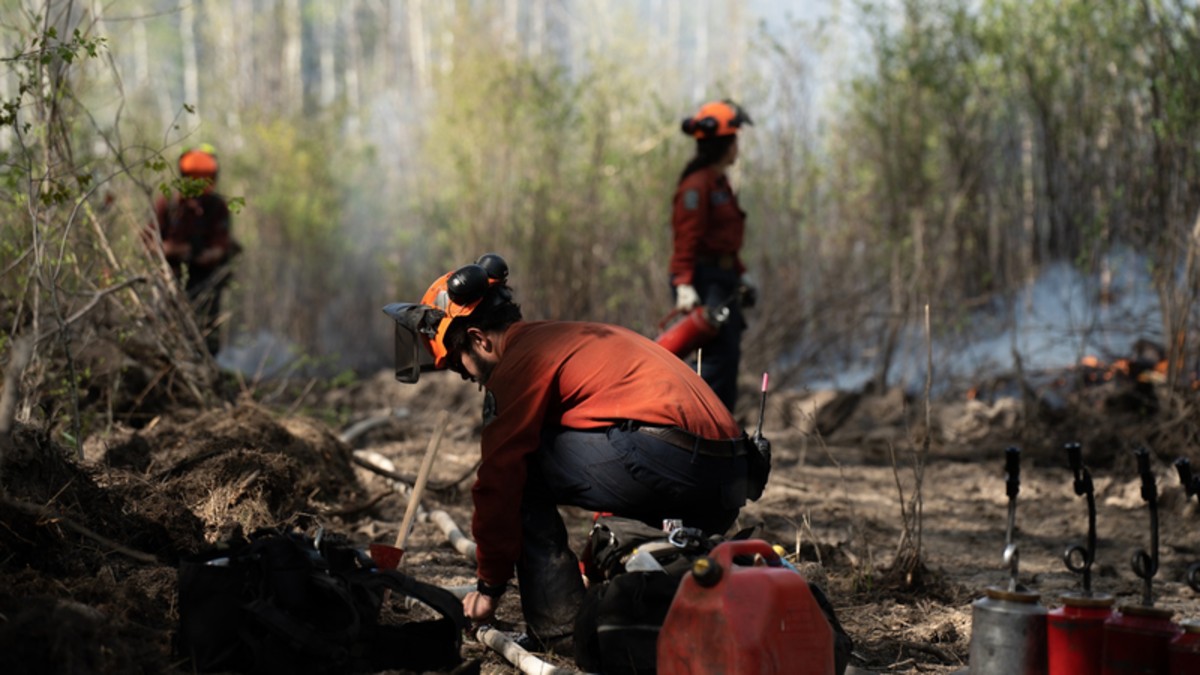Pair of central Island wildfires quickly held by Coastal Fire Centre ...