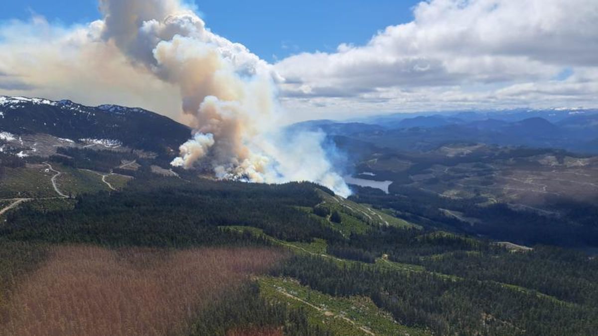 Crews continue battle against Sayward fire as smoke eases across ...