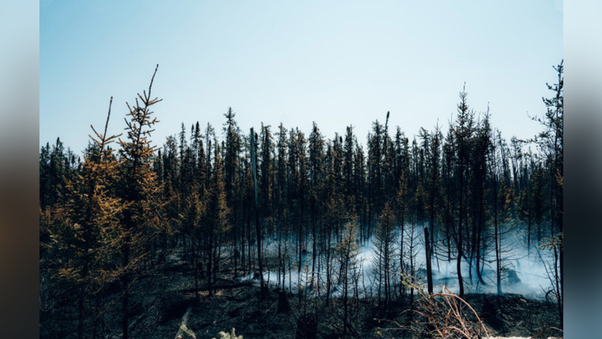 Wildfire tally tops 140 as thousands more evacuate northwestern Quebec ...