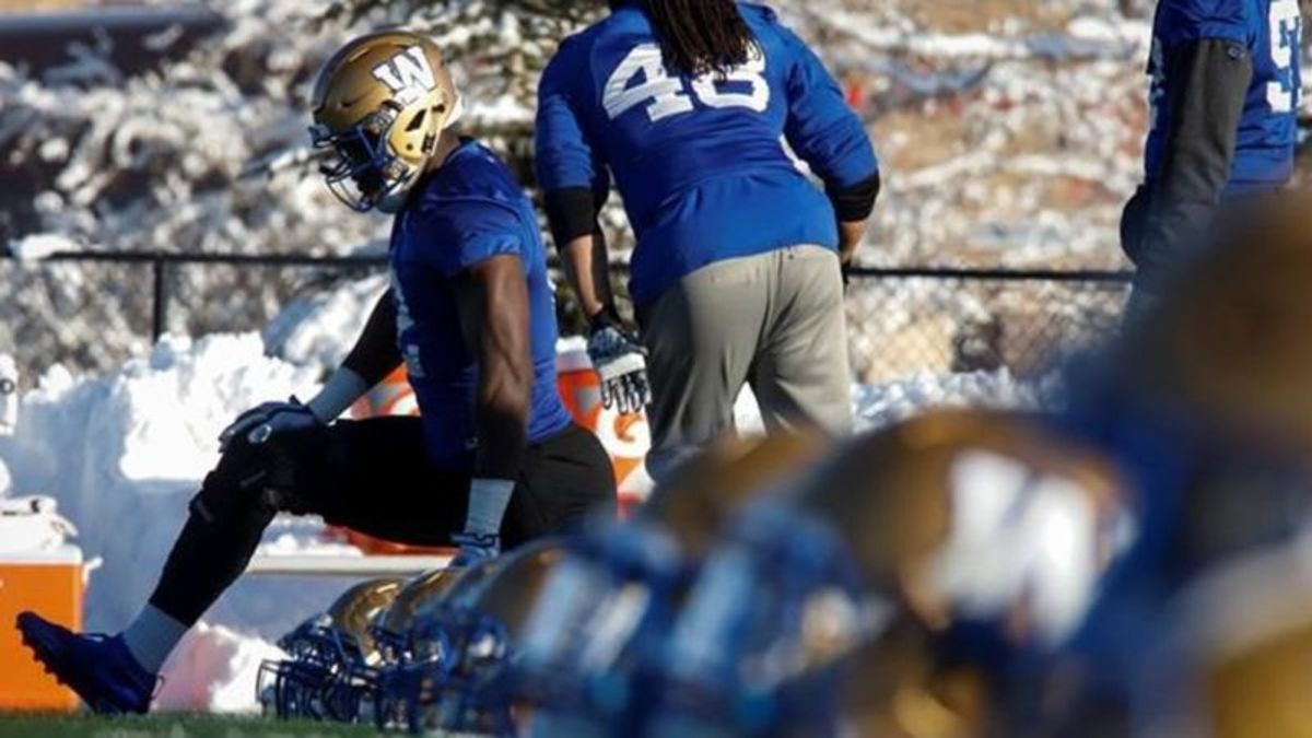 Ticats land Canadian defensive lineman Kongbo from Lions | EverythingGP