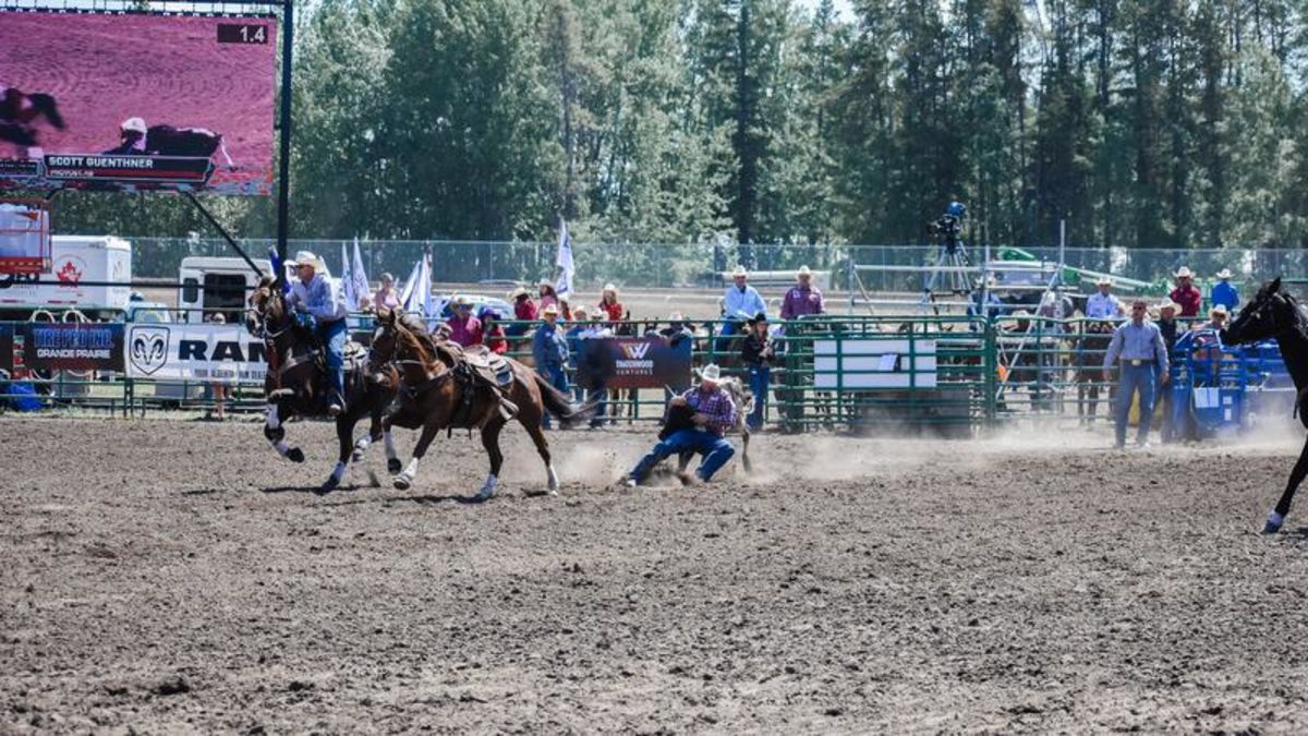 Stompede rodeo results | EverythingGP