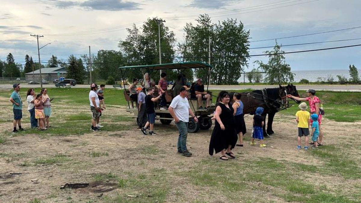 Equine therapy offered in La Ronge this week | larongeNOW