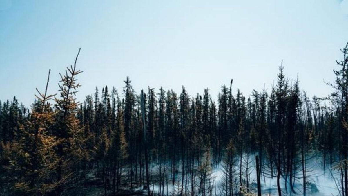Wildfire, shifting winds force evacuation of northern Quebec ...