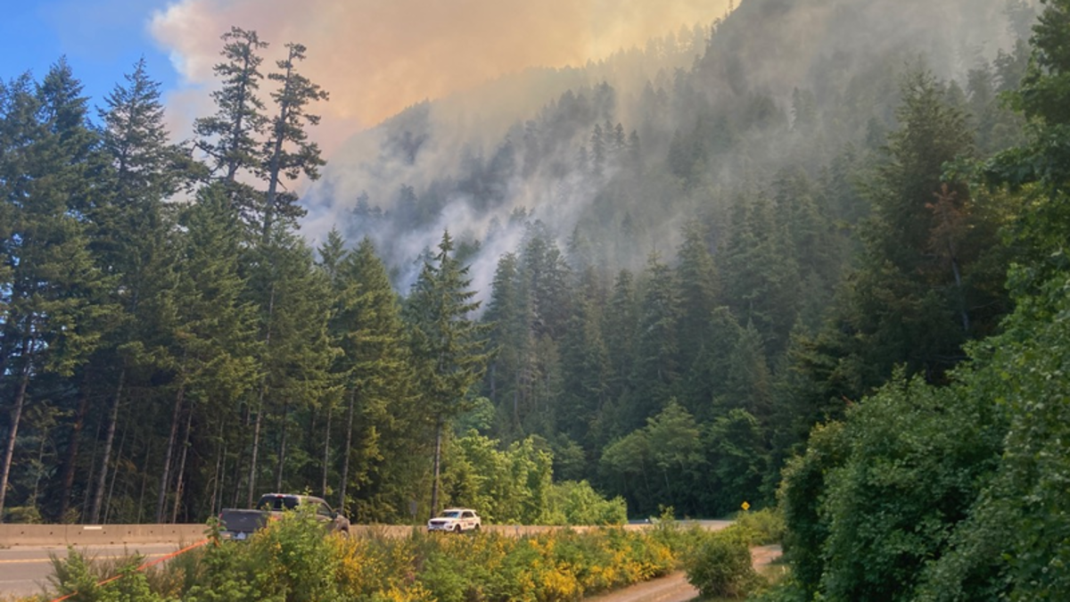Fallen trees and rocks forcing closure of Hwy. 4 near Cameron Lake | 88 ...