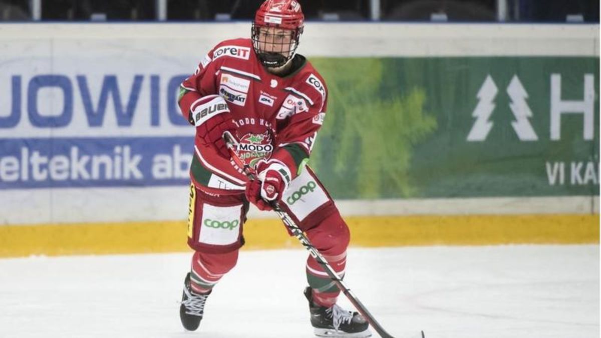 Pride of Prince Albert: local hockey star Hobson joins PHF’s Boston ...