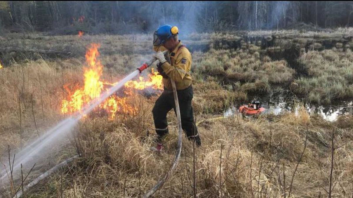 PAGC calls on government to improve Indigenous firefighting capacity ...