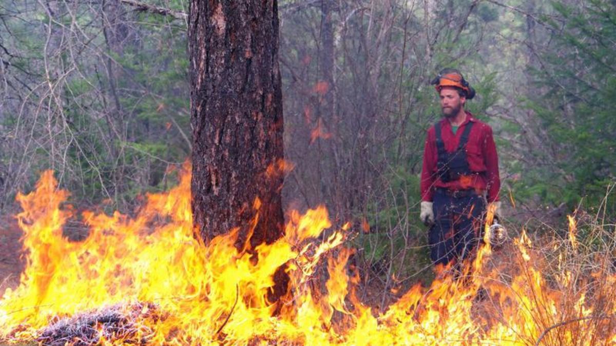 BC Wildfire using modified repsonse to fire in Wells Gray Park | B100