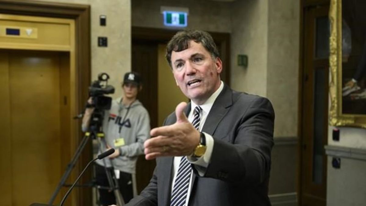 Liberal government leaves door open for public inquiry on foreign ...