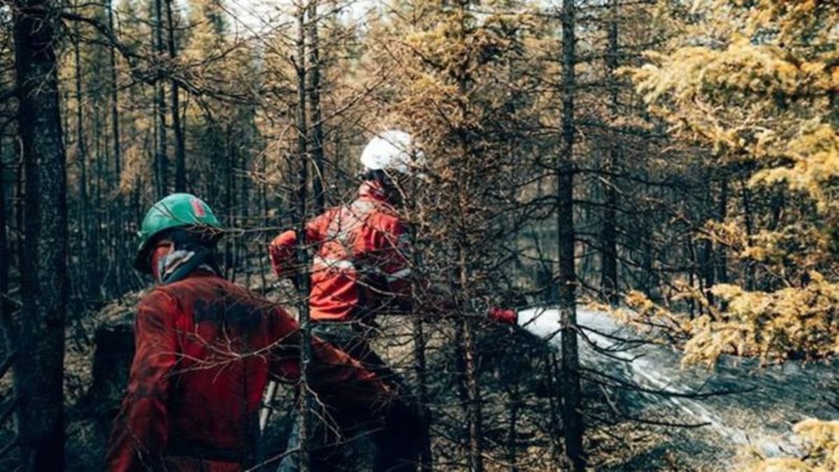 Quebec now taking the offensive against forest fires: natural resources ...