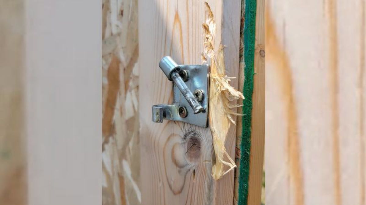 Battlefords Girl Guides storage shed broken into | battlefordsNOW