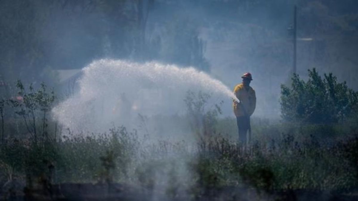 What you need to know about wildfires in Canada | northeastNOW